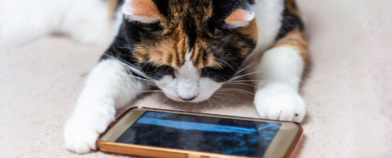 Procrastinating Could Be a Sign of Serious Health Problems, Study Finds ...