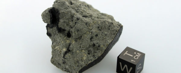 Intriguing Meteorite From Mars Reveals 'Huge Organic Diversity ...