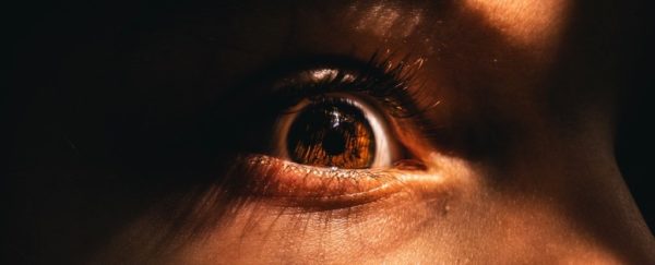 Why Do People Love to Be Afraid? An Expert Explains Why Fear Feels Good ...