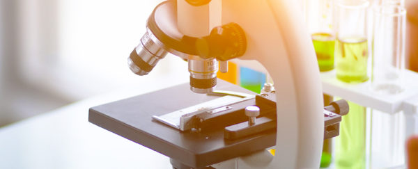 Innovation in Science Is on The Decline And We're Not Sure Why ...