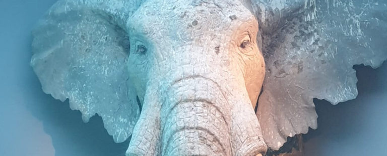 Neanderthals Hunted Giant Elephants Much Larger Than The Ones Today ...