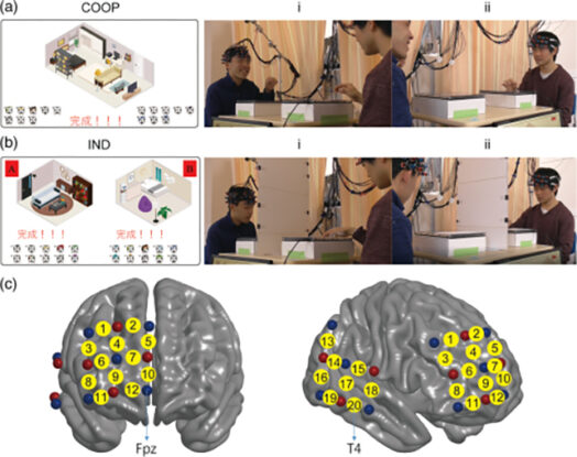 Working on a Task With Another Person Changes Your Brain Activity ...