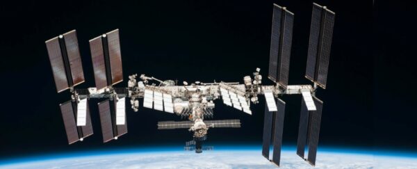 Landmark Archaeological Study Conducted on International Space Station ...