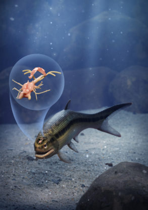 Scientist Accidentally Discovers The Oldest Brain of Any Vertebrate ...