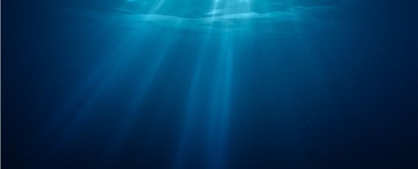 More Life Than We Ever Realized Could Survive in The Deep Dark of The ...