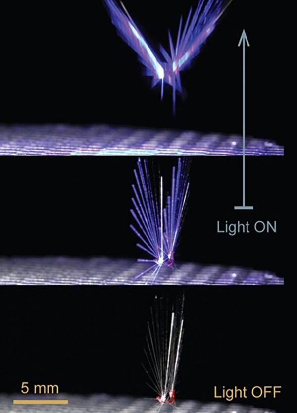 Incredible 'Fairy' Robot Sails on The Breeze Like a Floating Dandelion ...