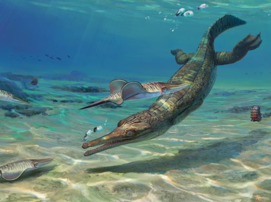 Ancient Jurassic Predator Emerged From Ghost Ancestor, Scientists Say ...