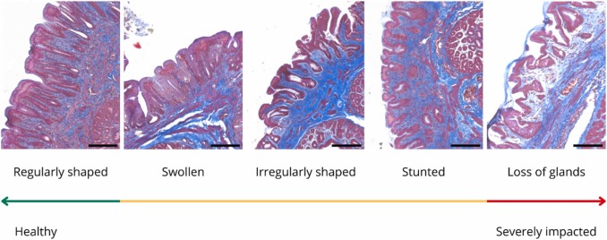 The First Disease Caused by Ingested Plastic Was Just Described by ...