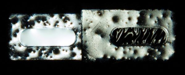 Scientists Finally Solve Mystery of Why Solar Probes Keep Fogging Up ...