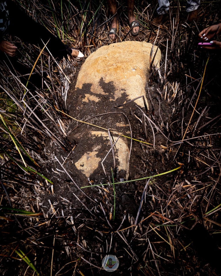 Easter Island Statue Submerged For 200 Years Has Just Been Discovered ...