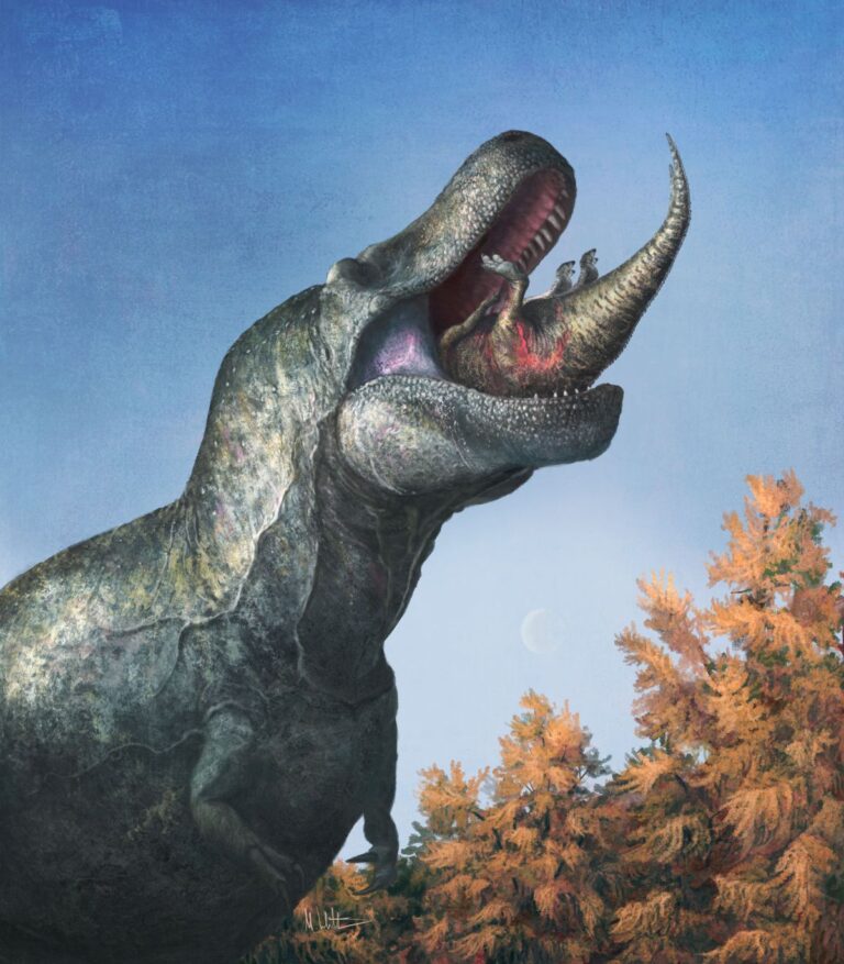 Tyrannosaurus Rex Had Lips Like A Lizard Scientists Reveal Sciencealert