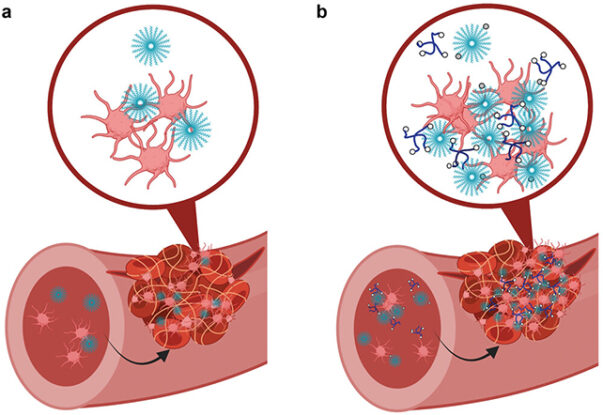New Synthetic Blood Clotting System Could Help Stop Internal Bleeding ...