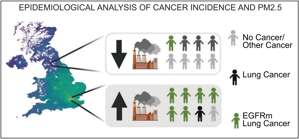 Just 3 Years of Air Pollution Can Increase Lung Cancer Risk, Study ...