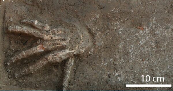 A Pit of Severed Hands Could Be The Remains of a Grisly Ancient ...