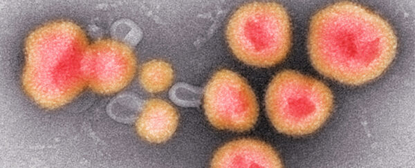 Scientists Have Found 30,000 New Viruses Hiding in The DNA of Microbes ...