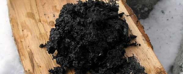 Neanderthals May Have Been The First To Carefully Concoct This ...