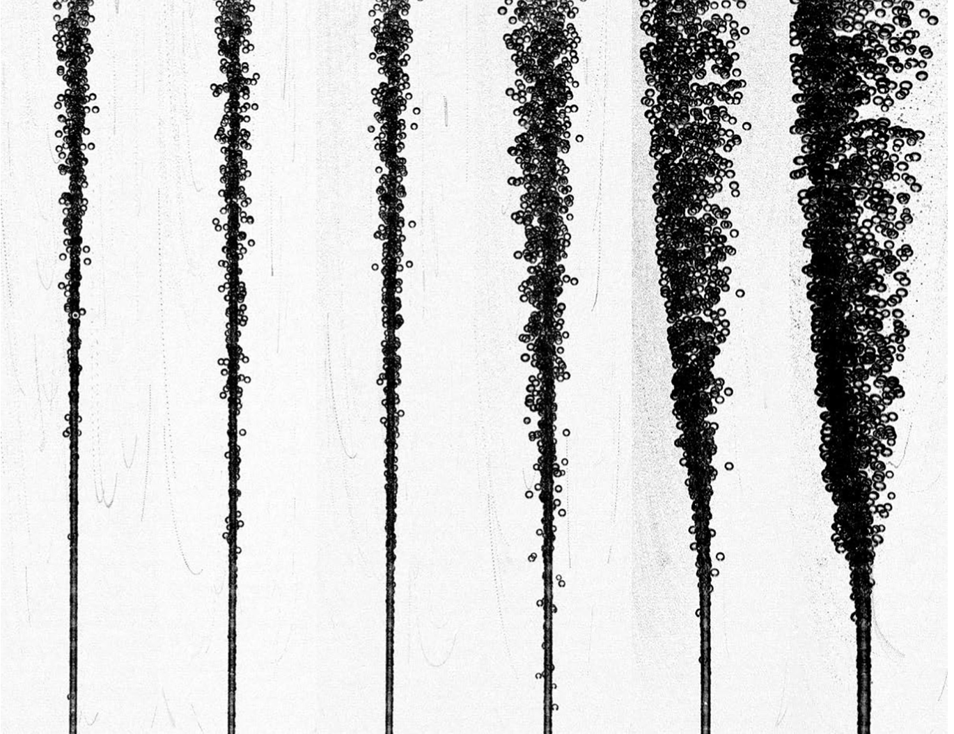 The Strange Mystery of Champagne Bubbles Can Finally Be Explained ...