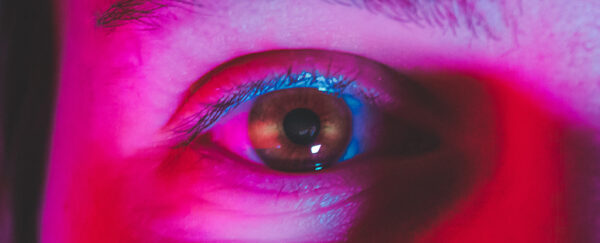 Patient M: The Man Who Was Shot in The Head And Woke Up Seeing The ...