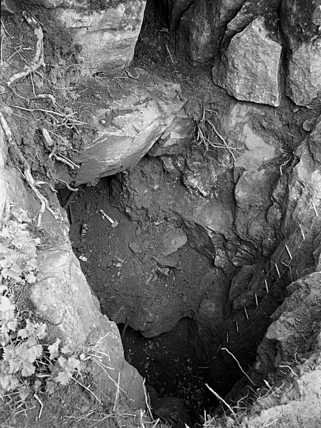 Black Death Pathogen Lurked in Britain Millennia Before Plague Struck ...