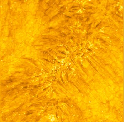 Captivating Close-Ups Show Amazing Details Hiding in The Glare of The ...