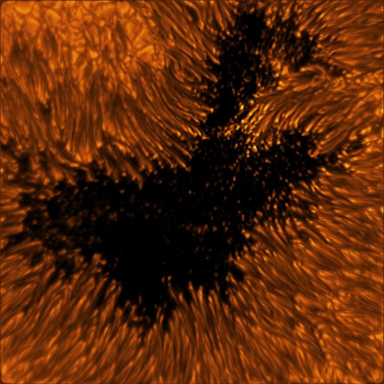 Captivating Close-Ups Show Amazing Details Hiding in The Glare of The ...