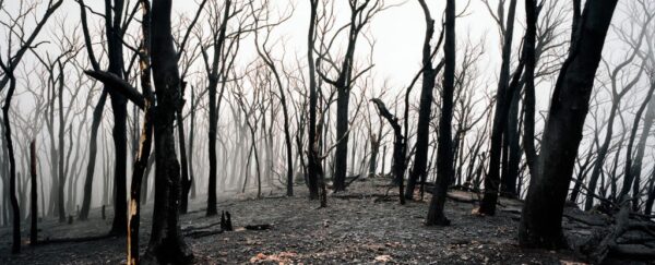 There Are 8 Boundaries For a Safe Planet. To Be Fair, Earth Would Fail ...