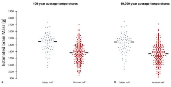 New Paper Links Climate Change to Shrinking Brain Size in Humans ...