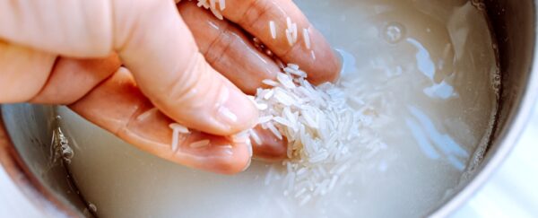 Yes, You Should Wash Rice, But Not For The Reason You Think : ScienceAlert