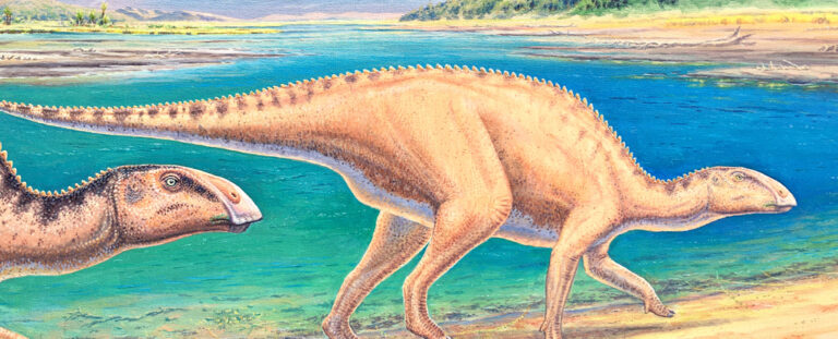 Remains of Duck-Billed Dinosaur in Chile Changes What We Know About ...
