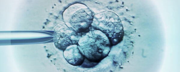 Scientists Create Synthetic Human Embryo Models in Major First ...