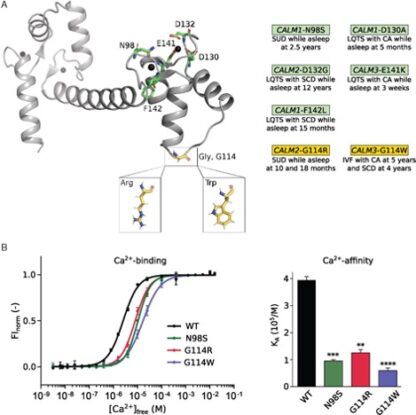 An Extremely Rare Mutation Landed a Woman in Prison For Murder ...