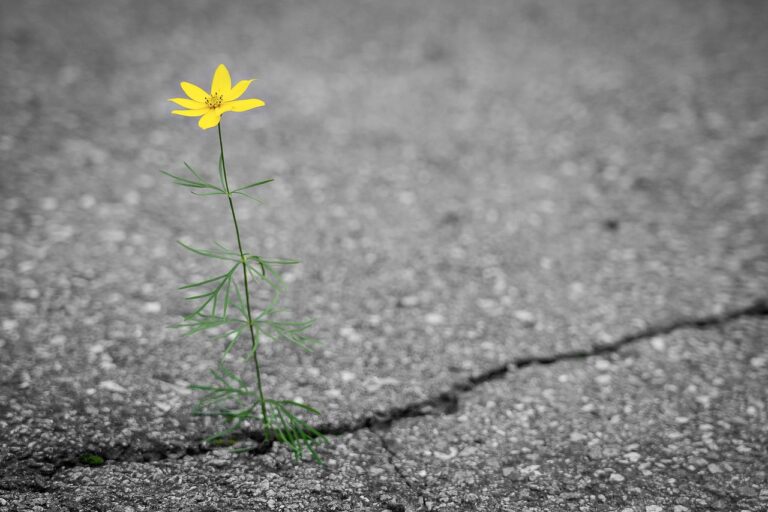 What Would Happen to The World if People Vanished? : ScienceAlert