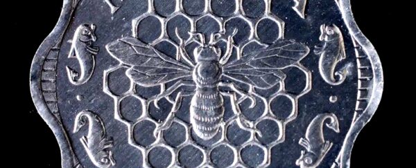 There's a Weird Link Between Bees And Money, And It Goes Back Thousands ...