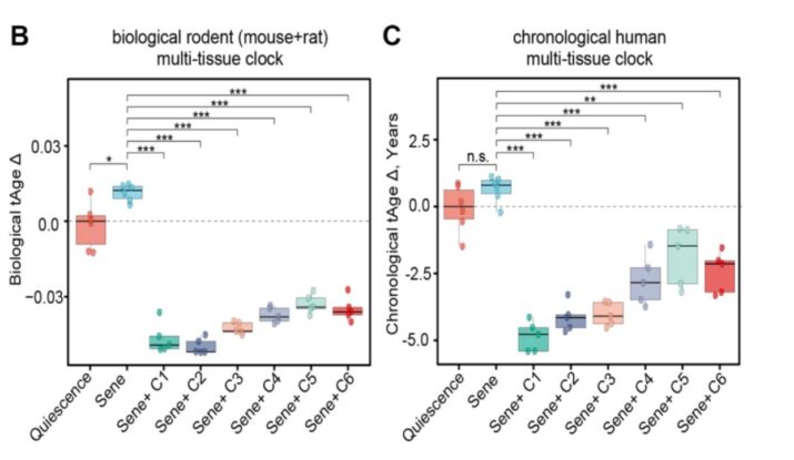 Harvard Scientist Says He's Found a Cocktail That Can Reverse Aging in ...