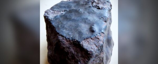 This Meteorite Left Earth. Thousands of Years Later, It Came Back ...