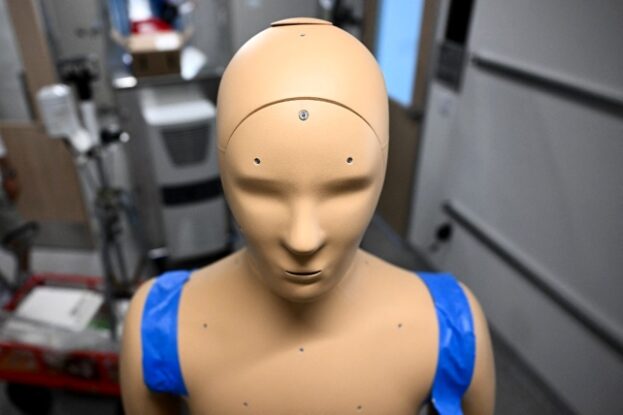 This Robot Is a Crash Test Dummy For The Deadly Heat of Tomorrow ...