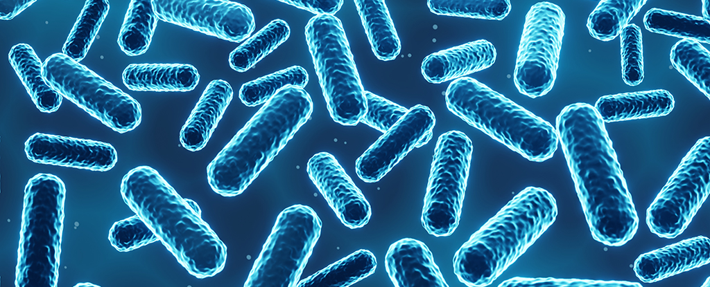 Experimental Probiotic Uses Microbes to Treat Multiple Sclerosis in ...