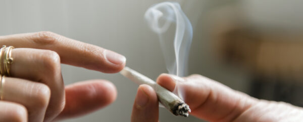 Smoking Cannabis May Not Be as Harmless as You Think. Here's Why ...