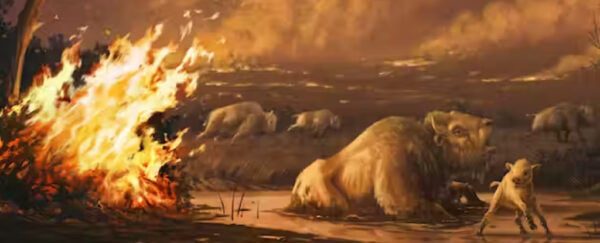 An Ancient Fire Wiped Out Entire Species. It's Happening Again ...