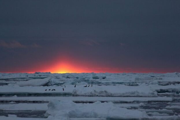 Some Doctors Get Their Appendix Removed Before Going to Antarctica ...