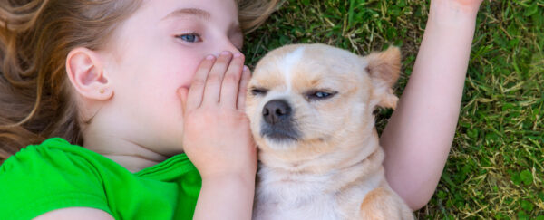 AI Could Soon Help Us Talk to Animals, But There Is a Problem ...