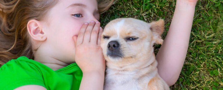 AI Could Soon Help Us Talk to Animals, But There Is a Problem ...