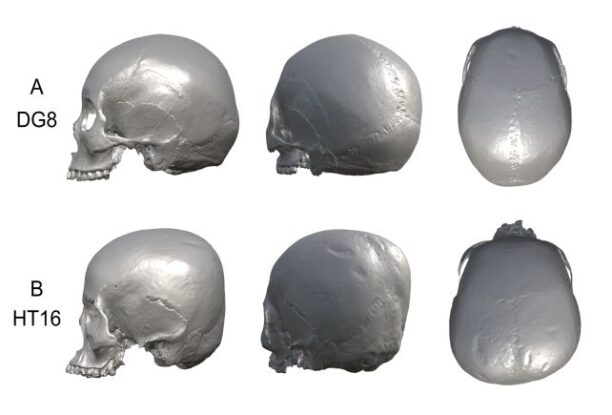 The Flattened Skulls of The Ancient Hirota People Were No Accident ...