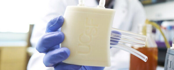 This New Artificial Kidney Could Transform The Future of Transplants ...