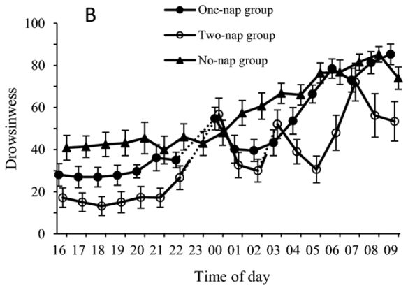 A Combination of These Nap Times Is The Best Way to Stay Sharp on Night ...