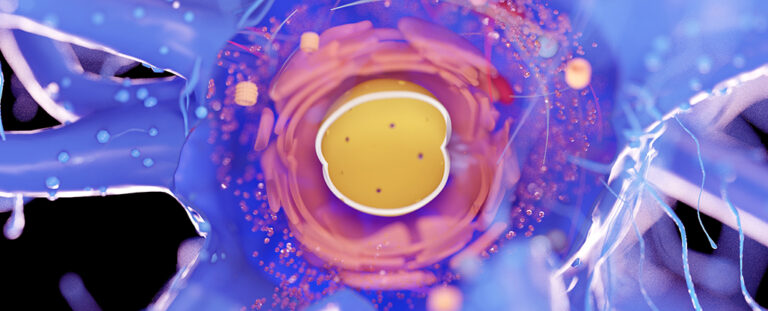 Strange Mathematical Pattern Found in The Cells of The Human Body ...