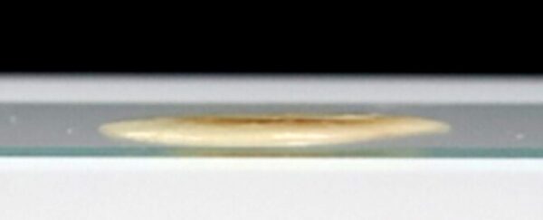 This Self-Destructing Robot Vanishes Into a Puddle of Goo : ScienceAlert