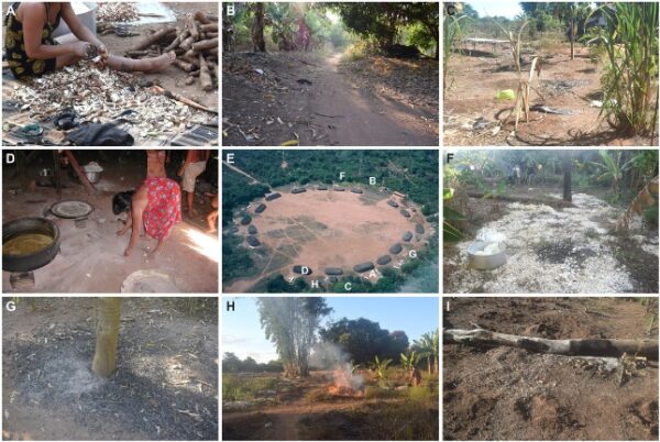 Recipe For "Dark Earth" Finally Uncovered in The Amazon's Depths ...