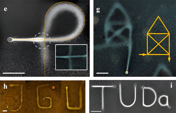 Physicists Have Figured Out a Way to Write in Water : ScienceAlert