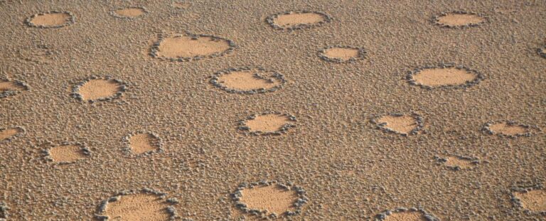 Atlas of Mysterious Fairy Circles Shows They're More Widespread Than We ...